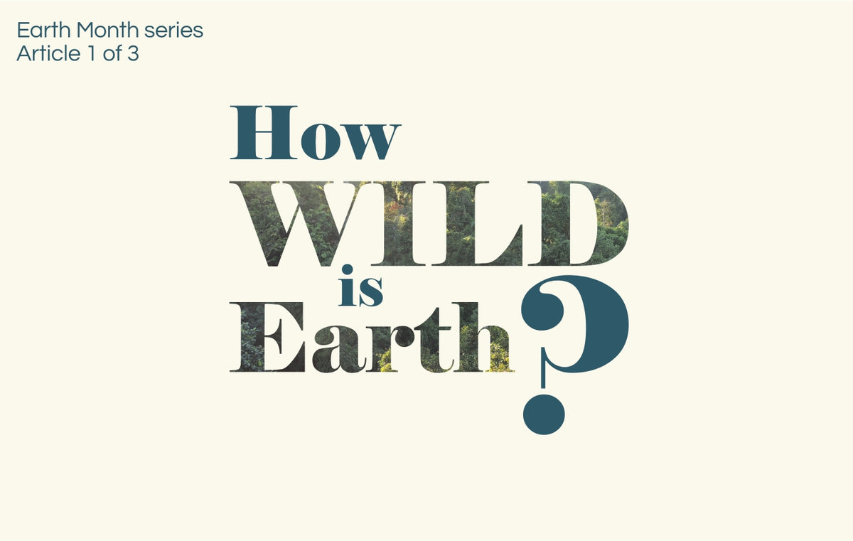 How WILD is Earth? – Rather Green